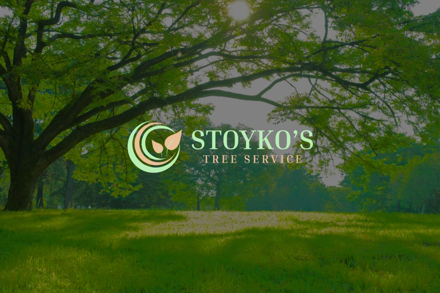 Tree Services in Lee’s Summit, MO | Stoyko's Tree Service